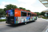 Naples Trolley Tours Discount Tickets