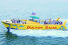 Tampa Dolphin Racer Speedboat Adventure Discount Tickets