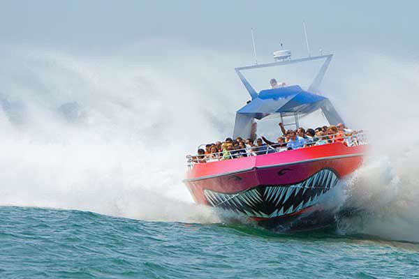 Boston Speedboat Tours | Discount Tickets For CODZILLA