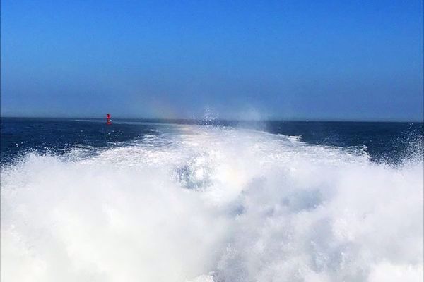 Boston Speedboat Tours | Discount Tickets For CODZILLA