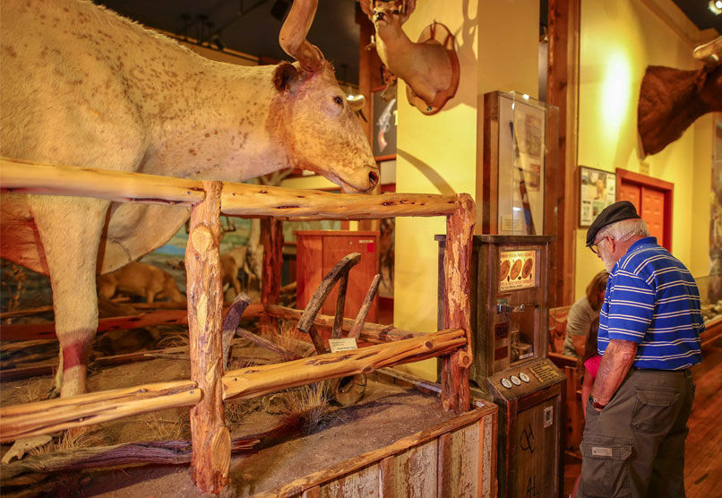 Buckhorn Saloon and Texas Ranger Museum