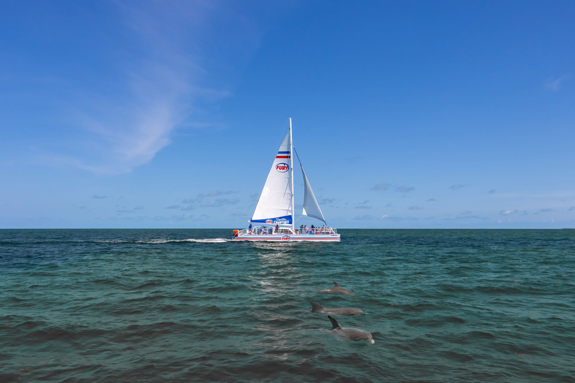 Fury Dolphin Watch and Historical Harbor Tour