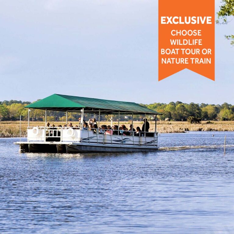 Magnolia Plantation Tour