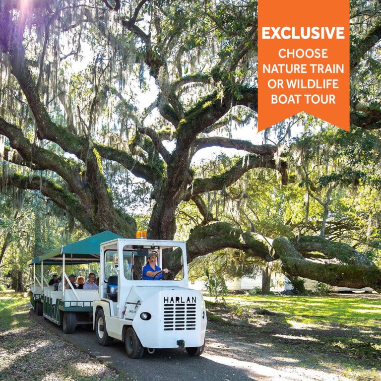 Magnolia Plantation Tour