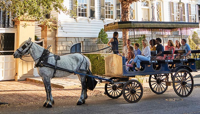Horse and Carriage Haunted Ghost Tour