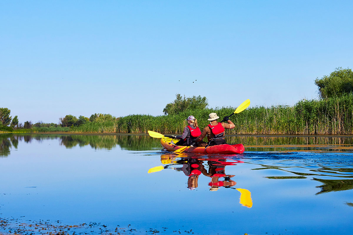 Fury Scenic Cruise & Guided Kayak Tour